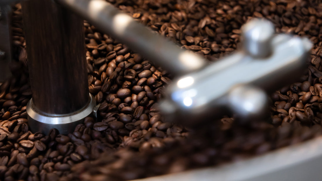 Wholesale Coffee Roasters in Miami | Specialty Coffee for Business ...