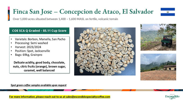 Green Coffee - Finca San Jose, Ataco, El Salvador – Escondido Specialty ...